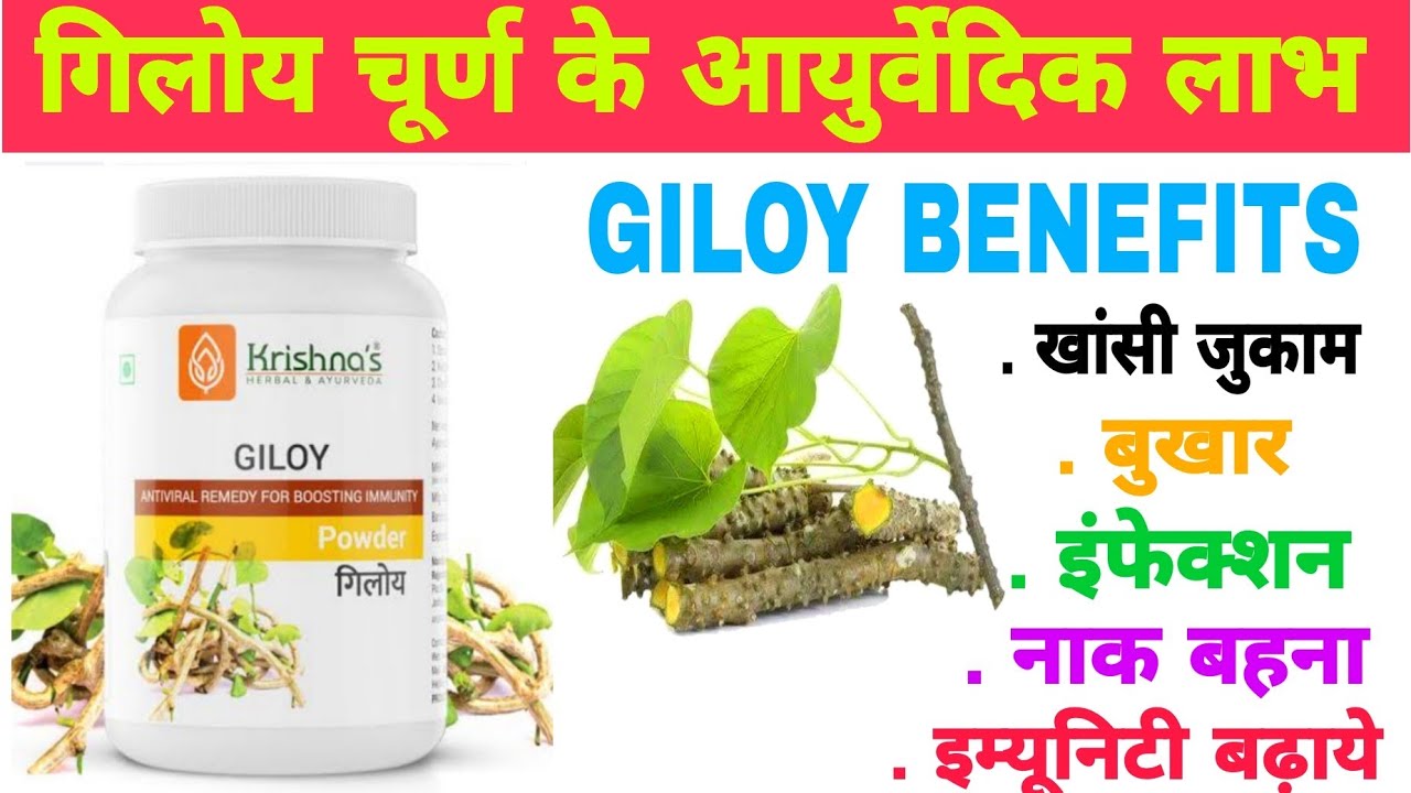 Krishna's Giloy powder benefits in Hindi - YouTube