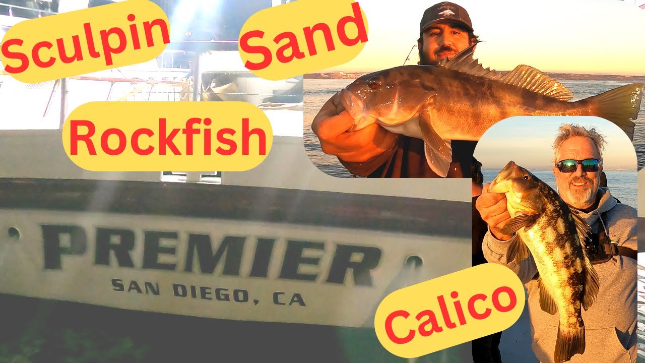 Part 3 Premier Sportfishing H & M Landing San Diego CA. 1/2 Day Trip ...