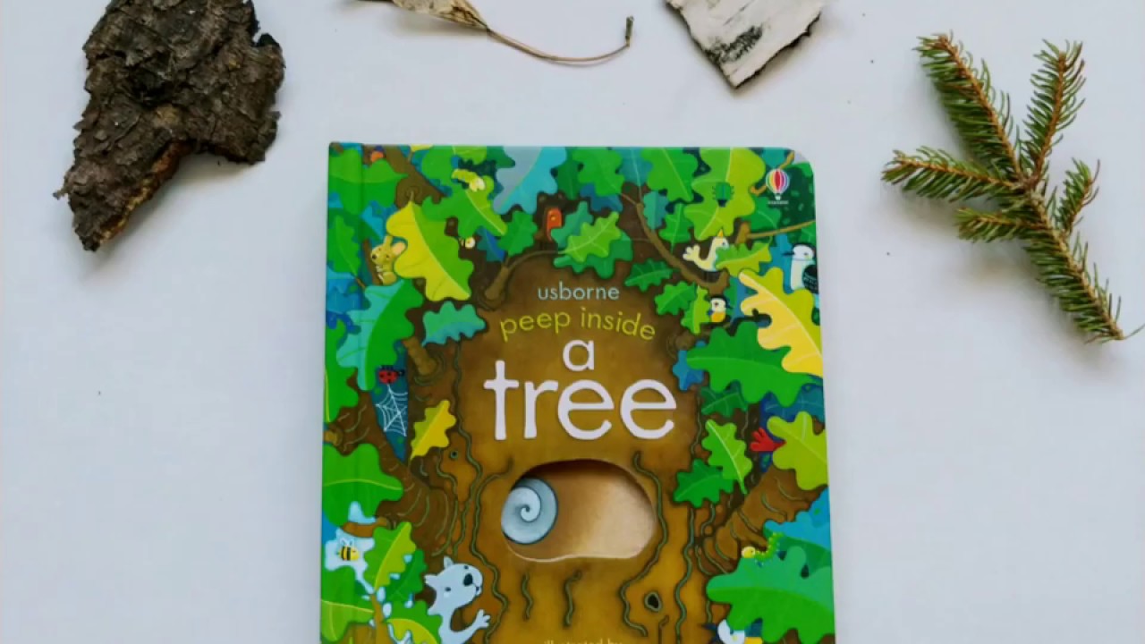 Peep Inside a Tree - Usborne Books at Home - YouTube