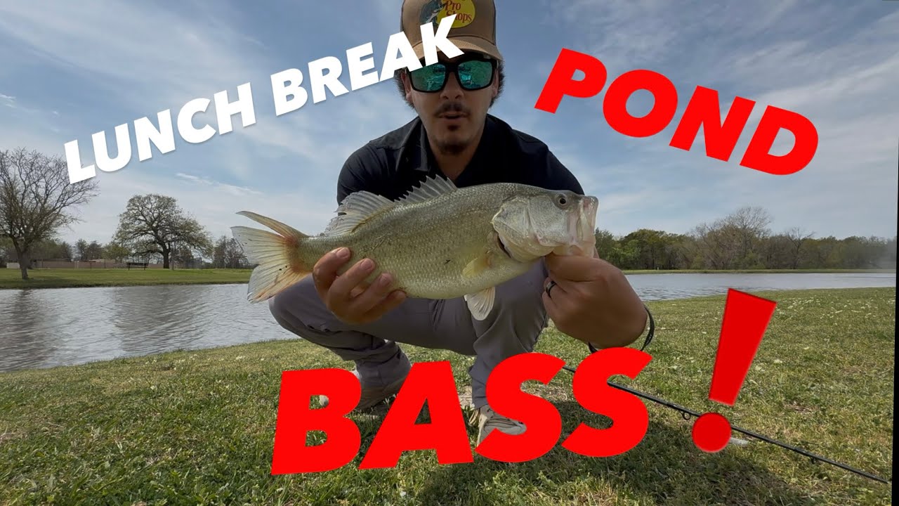 Vol.2 ‼️LUNCH BREAK BASS FISHING‼️ - YouTube