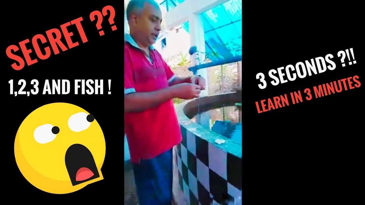 How To Catch Fish In 3 Seconds YouTube how-to-catch-fish-in-3-seconds-youtube