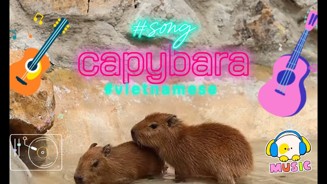 Capybara song 2 bài hát về chuột lang nước tiếng việt #capybarasong # ...