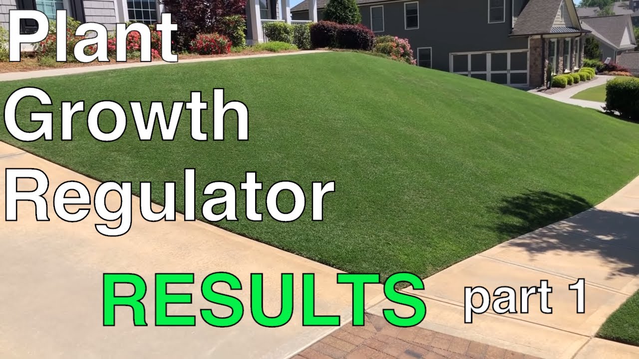 PLANT GROWTH REGULATOR (PGR) RESULTS - Part 1 of 2 - YouTube