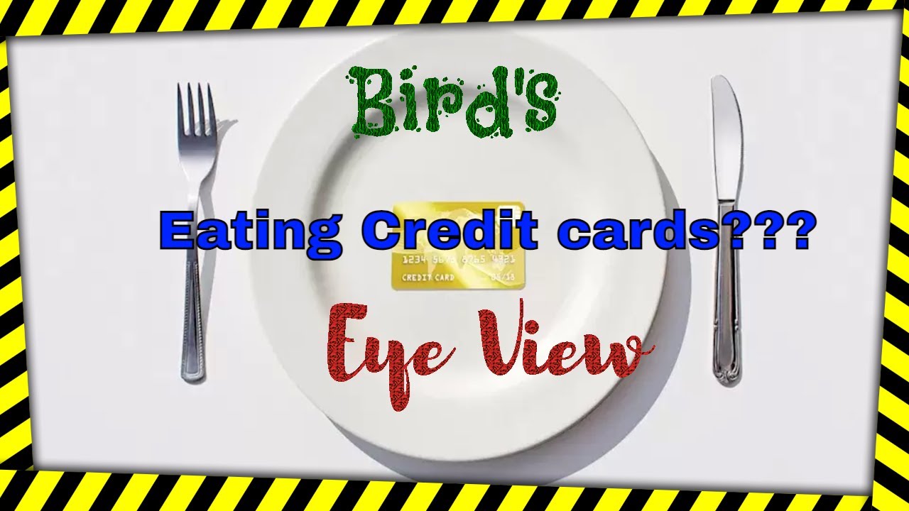 Eating a plastic credit card once a week, yummy - Birds Eye View #74 ...