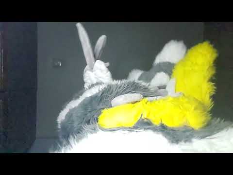 Macro March 2022 Fursuit Sit - YouTube