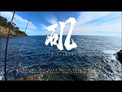 Fantail Bay ISO Fishing