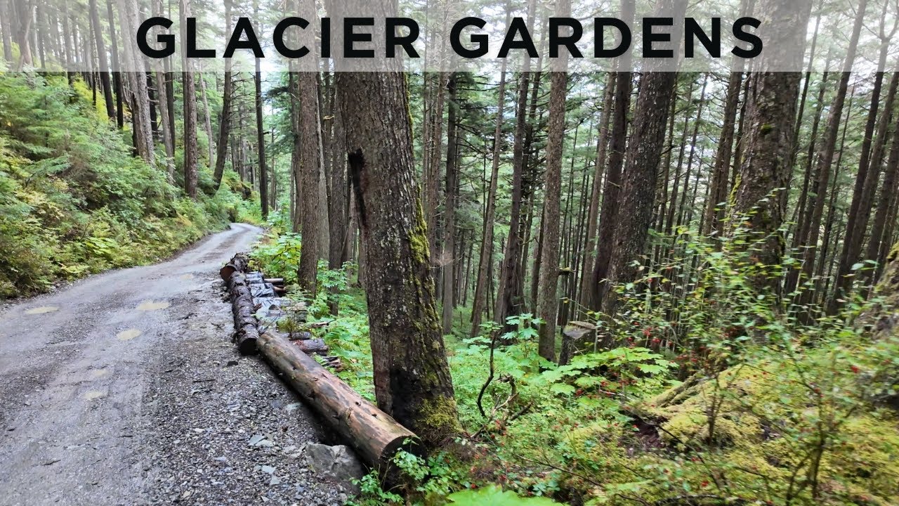 A Tour of Glacier Gardens Rainforest Adventure in Juneau, Alaska, USA ...