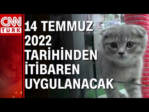 Petshoplarda hayvan satışı yasaklanıyor