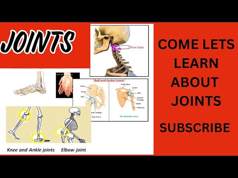 JOINTS|| DEFINITION || TYPES OF JOINTS||JOINTS IN HUMAN BODY|| #fun and ...
