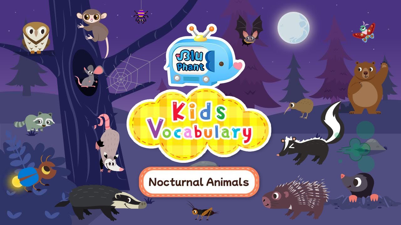 20 Nocturnal Animals Vocabulary Flashcards for Kids 🌙🦉 Learn Animal ...