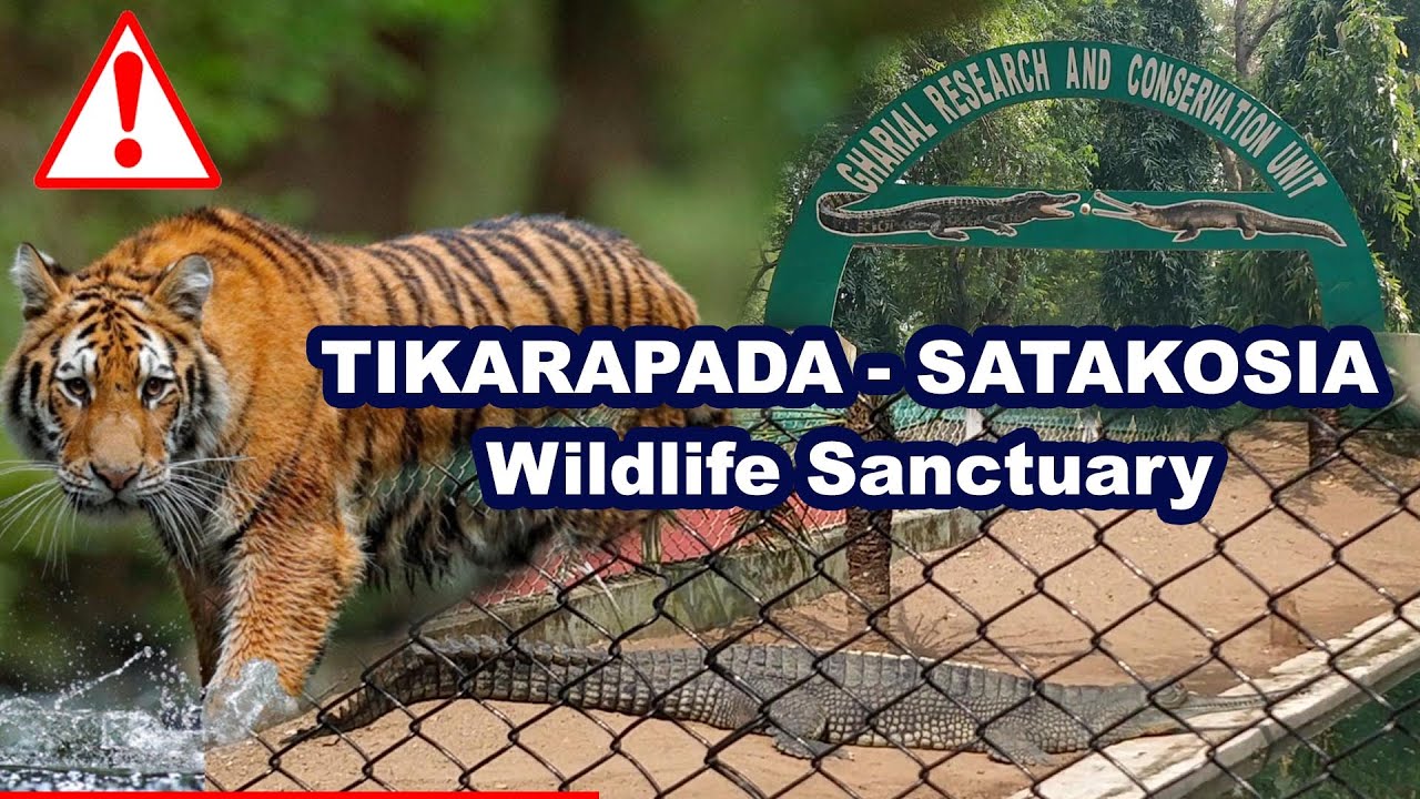 Tikarpada Wildlife Sanctuary , Satkosia Tiger Reserve , Jungle Tour ...