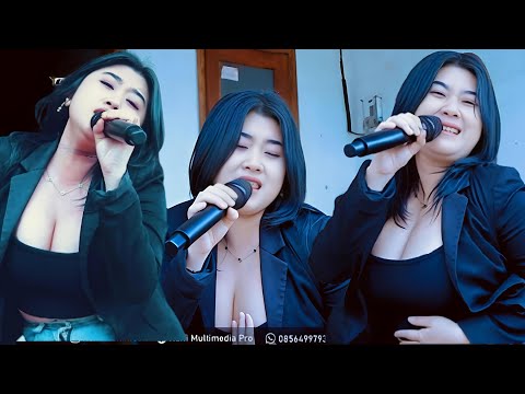 SEJUTA LUKA - DINI ELSIA - T2 AUDIO TERBARU 2026