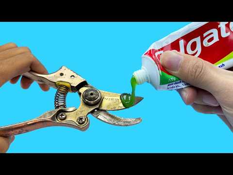 Budama makasınızı 5 dakikada bilemenin harika bir yolu!