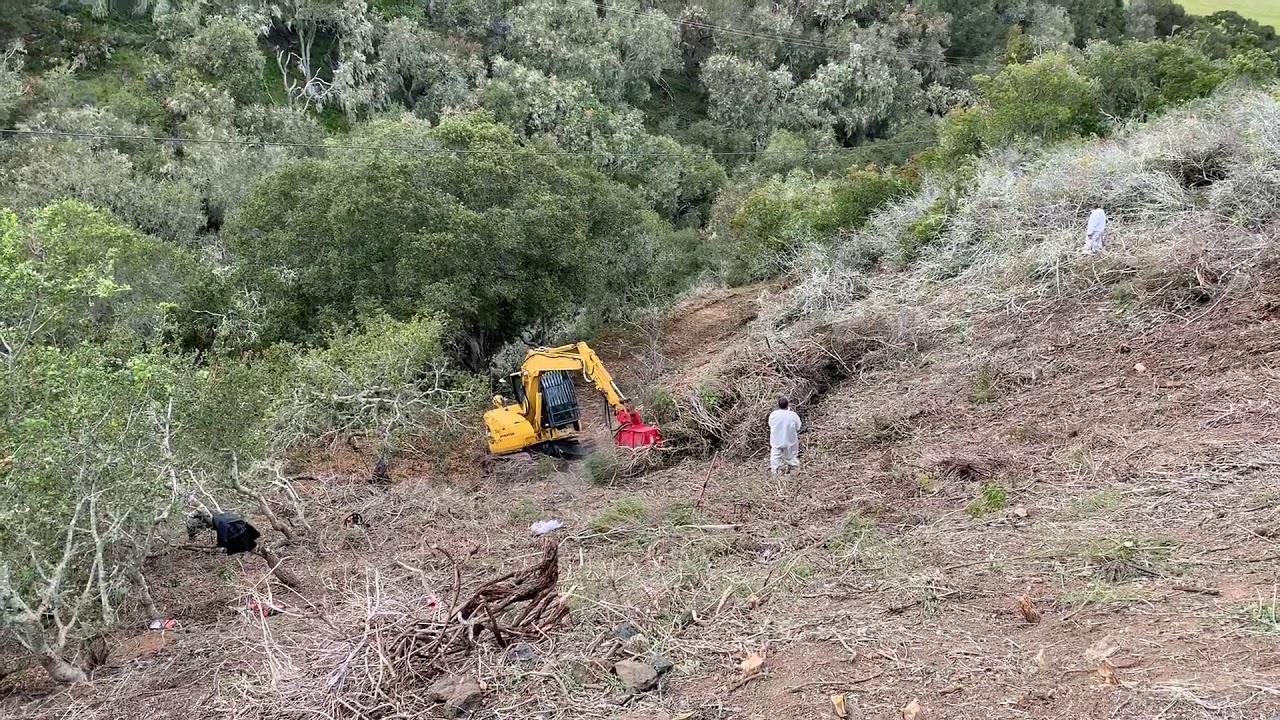 Komatsu PC78 w/ Fecon CEM36 Mastication Head - YouTube