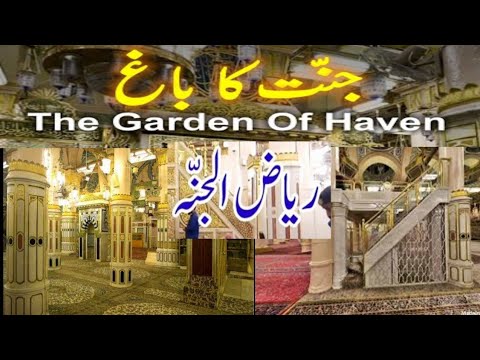 Riaz Ul Jannah Ki Ziyarat aur Fazilat | Masjid e Nabawi | Mimbar-e ...