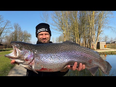 Monster Forelle bei DeKolk | Die Fische beißen wie am Schnürchen 🎣
