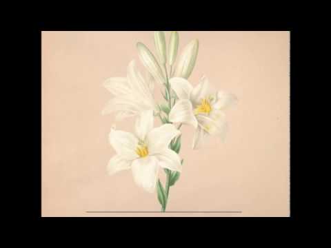 Colour Haze - Islands (2017)