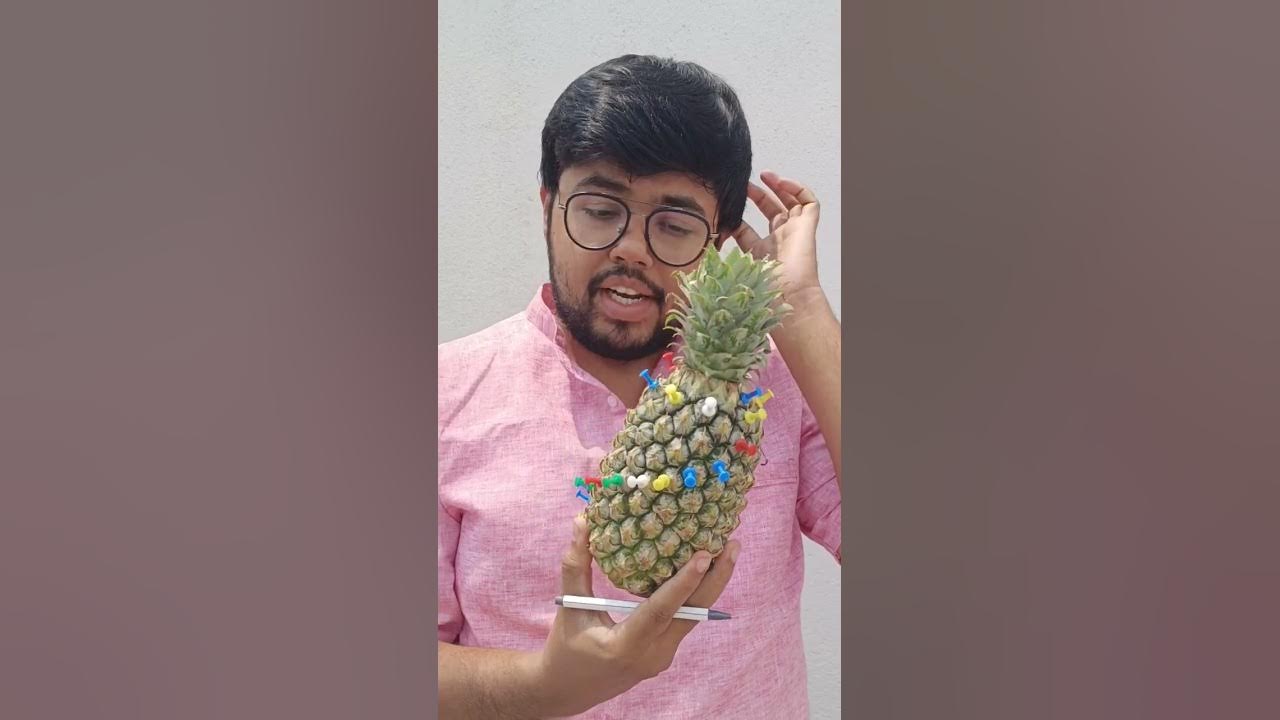 Math In nature series -1,Fibonacci series in Pineapple - YouTube