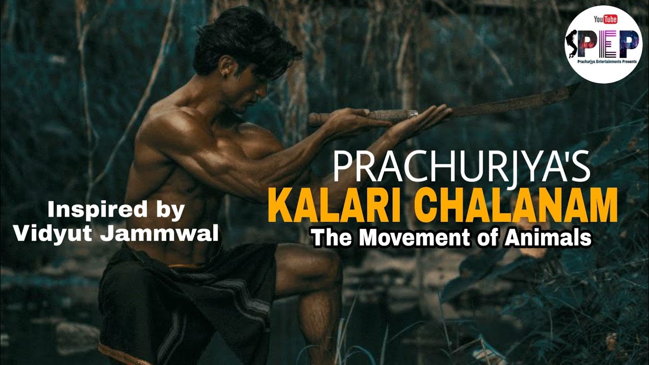 Kalari Chalanam : The Movement of Animals by Prachurjya | Martial Arts ...