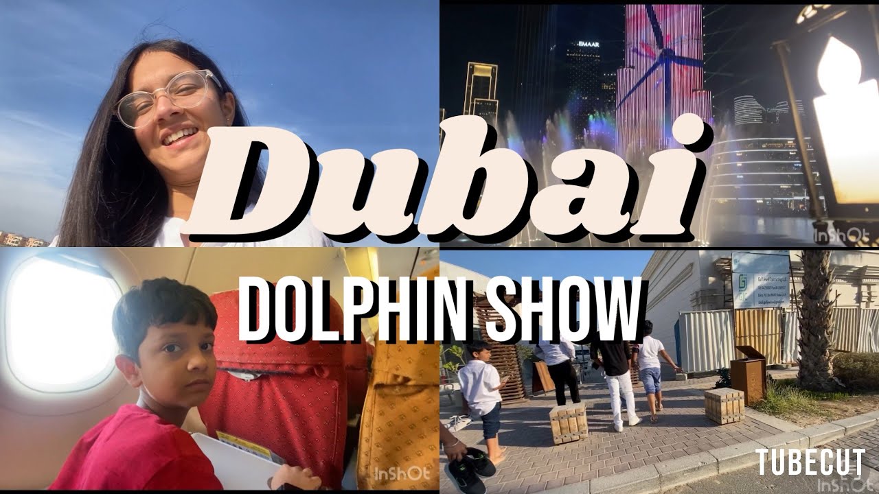 Dolphin show nd palm jubera beach in dubai..last day in dubai..|Nishtha ...