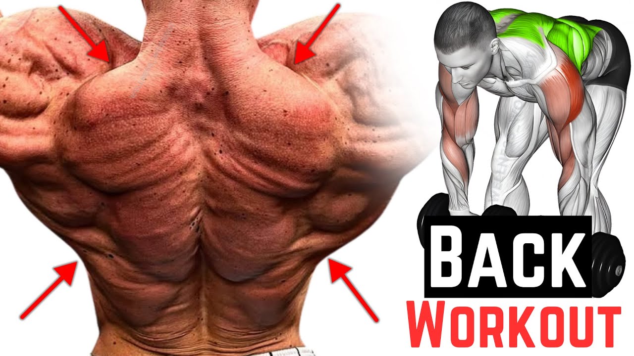 Back Workout for Mass & Strength | Build a Stronger Back - YouTube