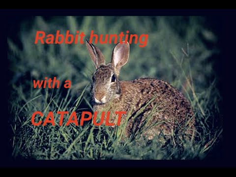 Rabbit Hunting with a Catapult/Slingshot - YouTube
