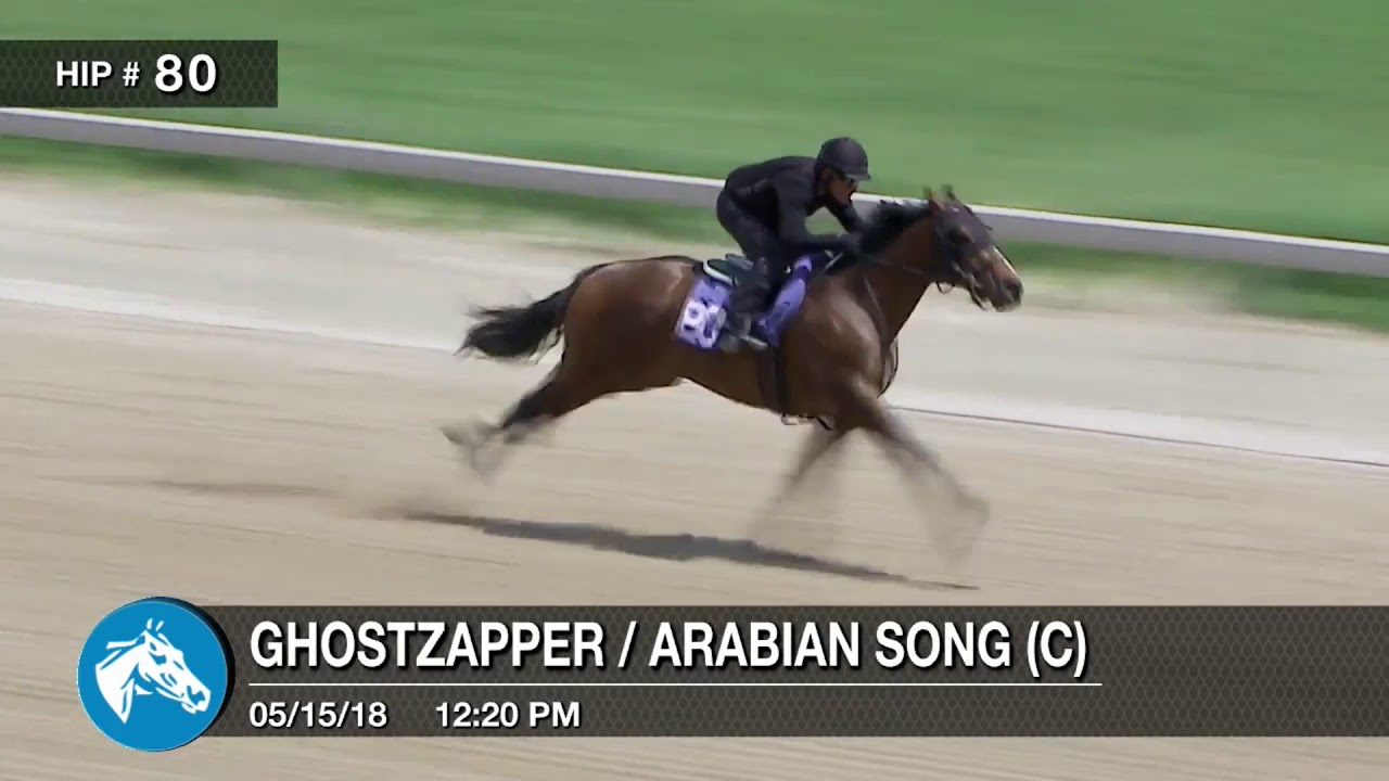 Drawing Away Stable's new Ghostzapper 2YO - 5.15.18 Workout - YouTube