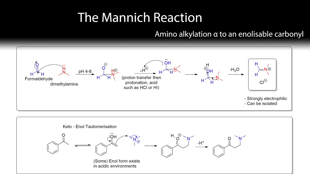 The Mannich Reaction - YouTube