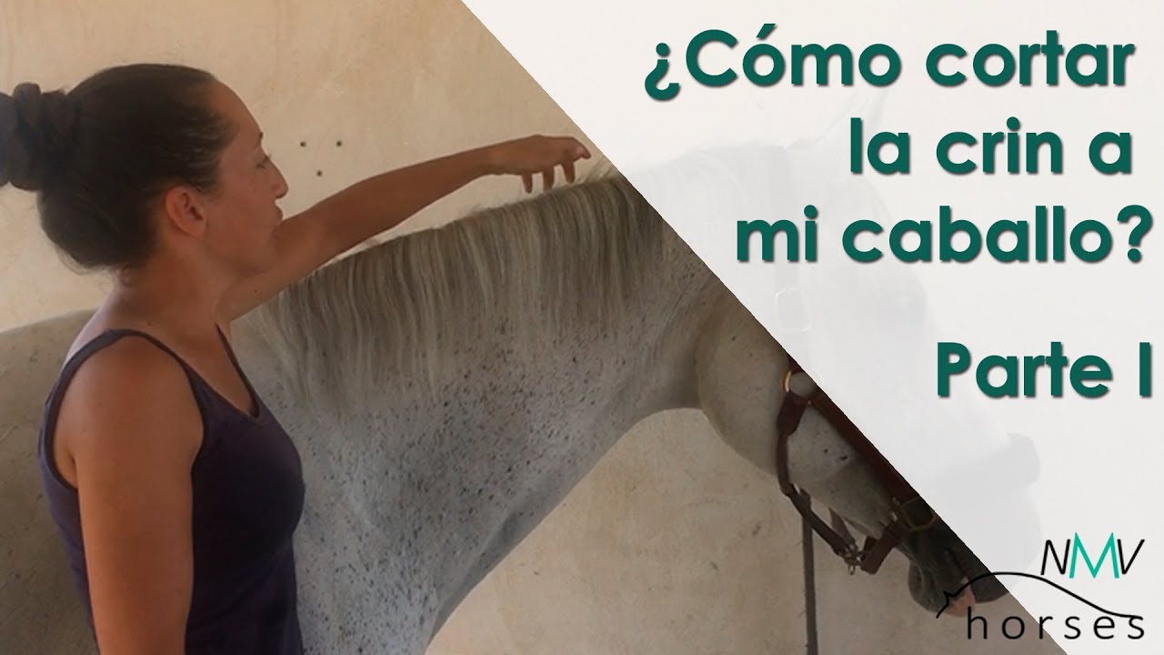 Cómo cortar las crines a tu caballo I Peluquería Parte I - YouTube