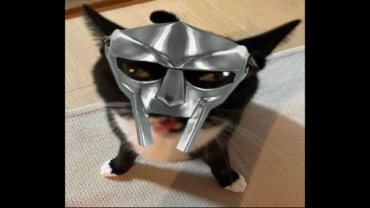 MF CAT - ONE BEER - YouTube