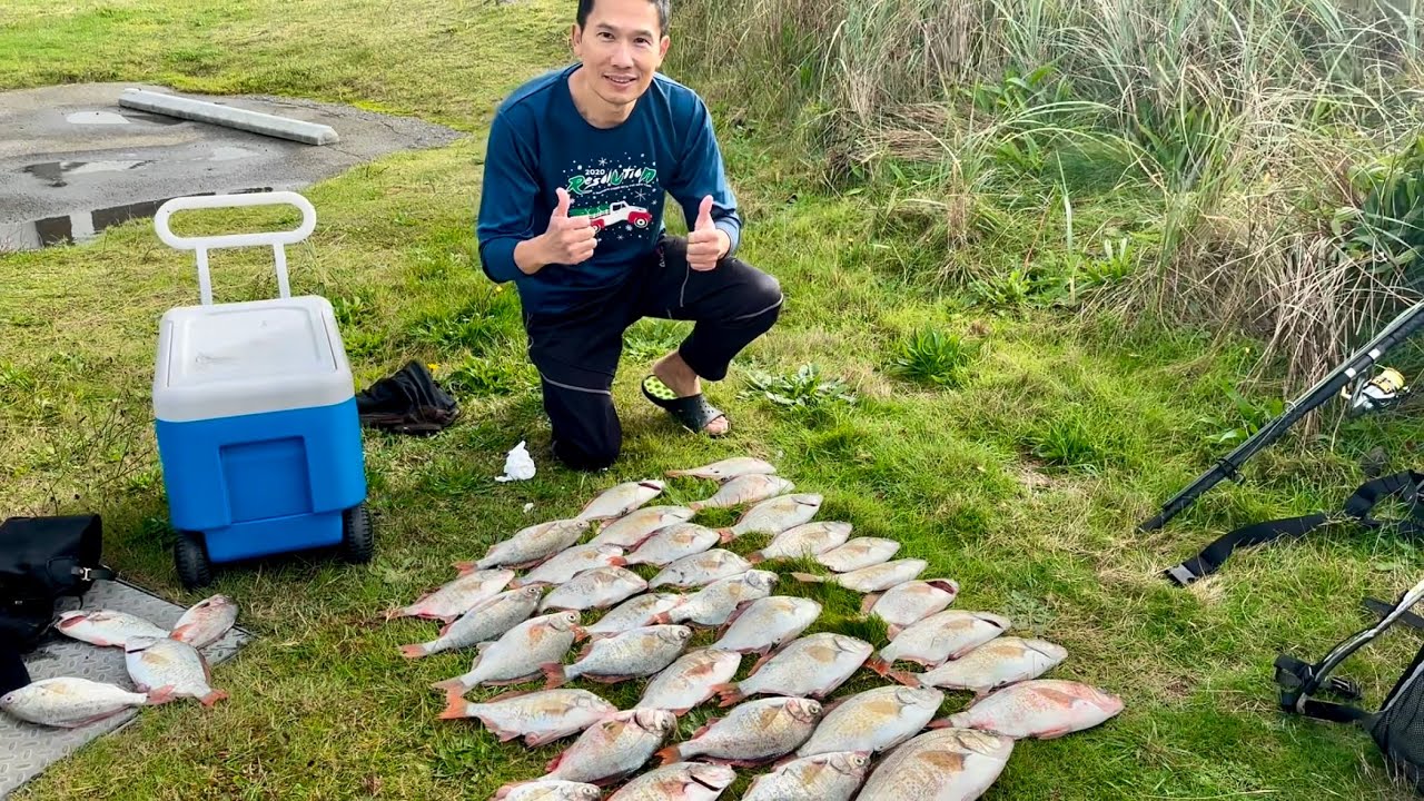 Fall Surf Perch Fishing Ocean Shores WA Coast - YouTube