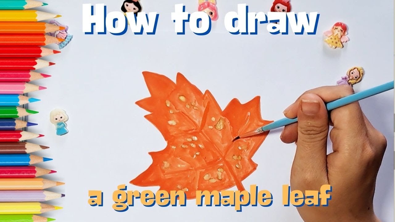 Drawing a maple leaf | Easy Drawing | Cute Drawing for beginners - YouTube