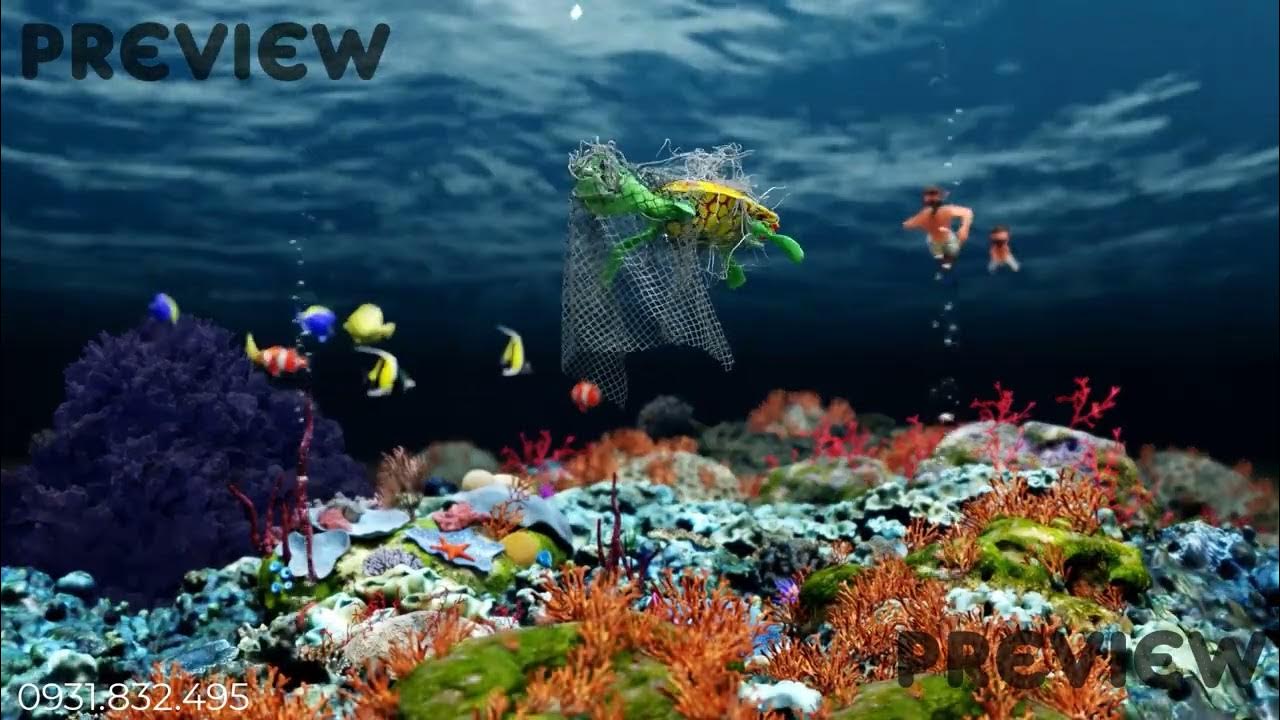 demo turtle - YouTube