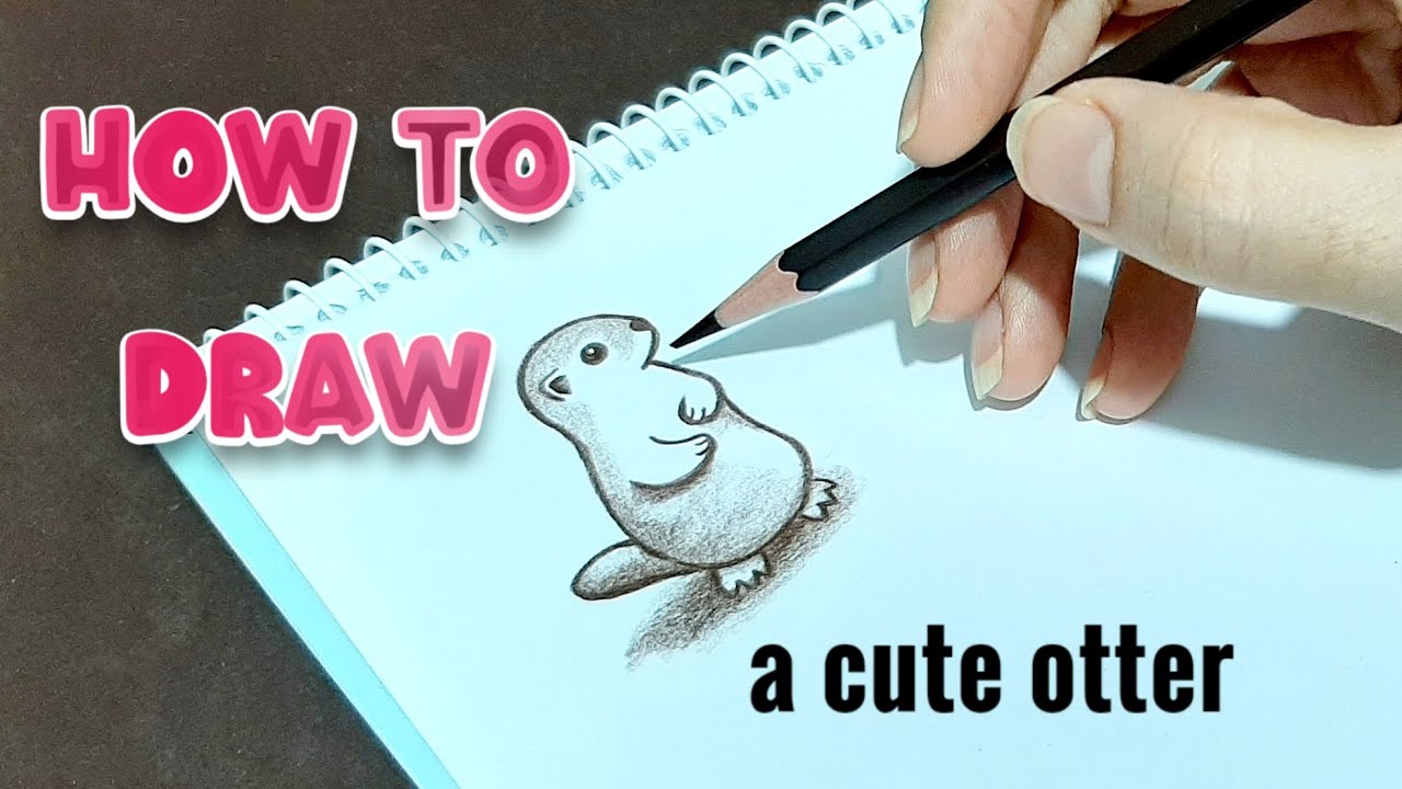 Cute Otter Drawing | Easy Step by Step Tutorial for Beginners🦦 - YouTube