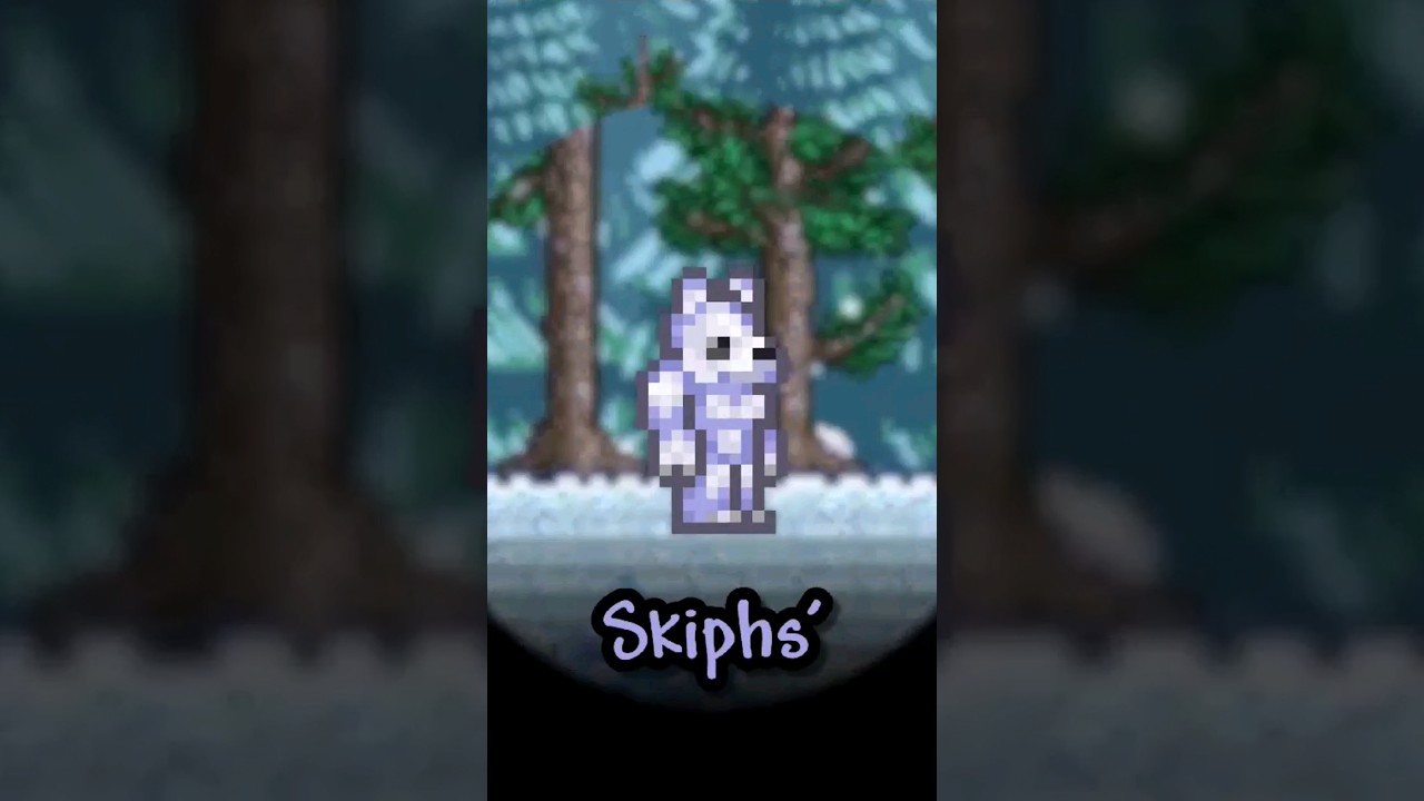 Terraria Dev Set Tier List - YouTube