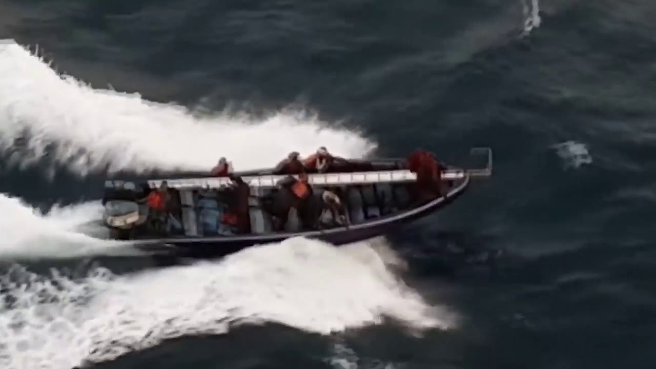 ZOEPOUND MOVIE Ali Zoe Adam & ZOEBOY - YouTube