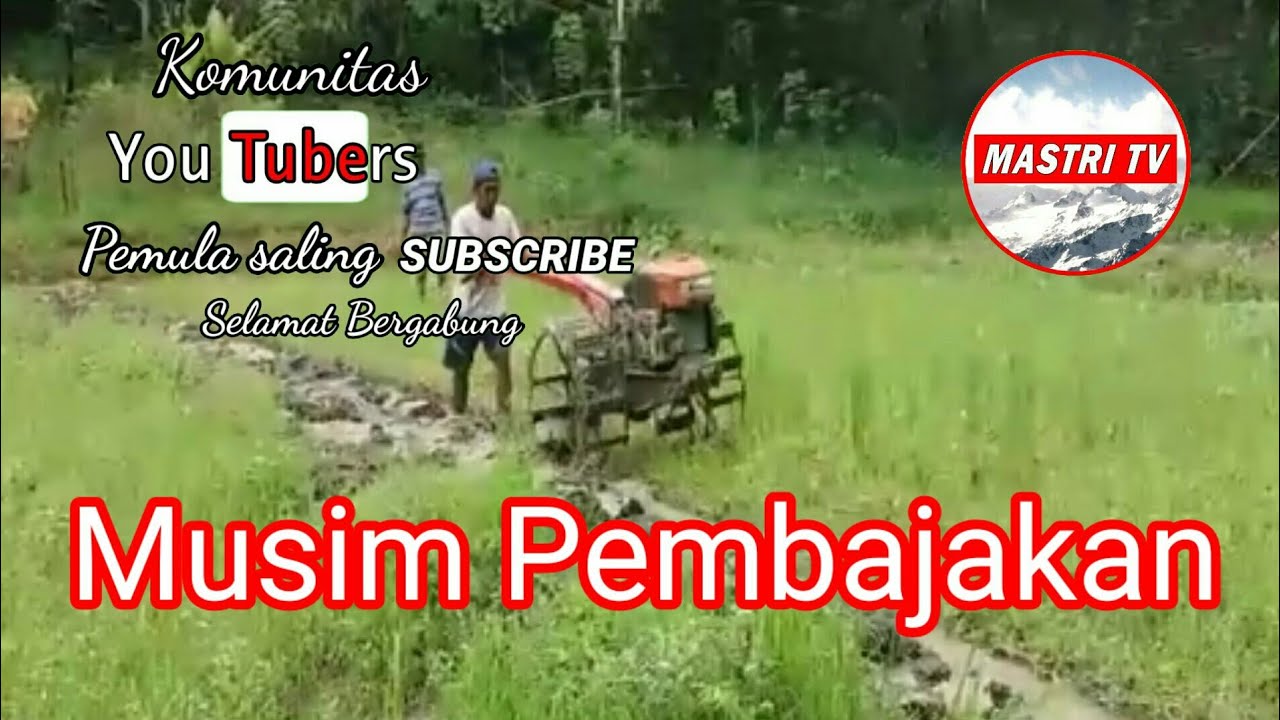 YOUTUBER PEMULA SALING MEMBANTU PEMBAJAKAN SAWAH - YouTube
