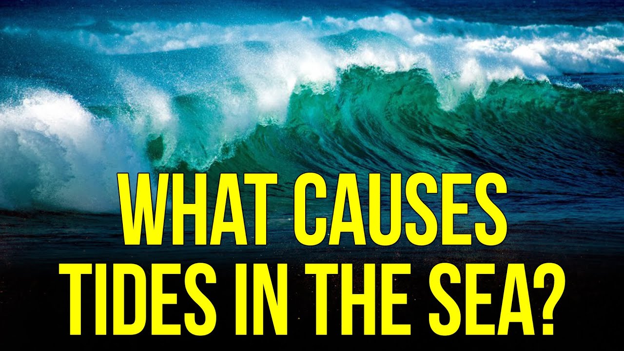 What causes tides in the sea? | Earth Science @NfxRajasthani - YouTube