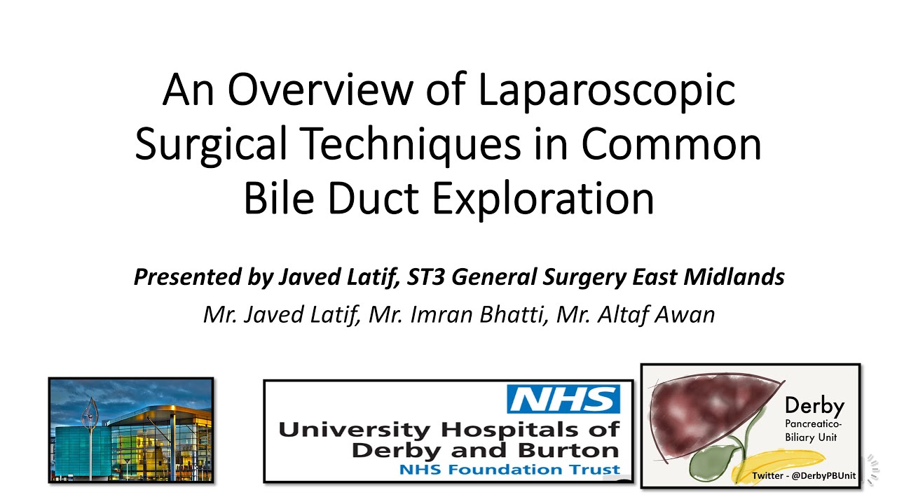 Laparoscopic Common Bile Duct Exploration: Tips and Tricks for Surgeons ...