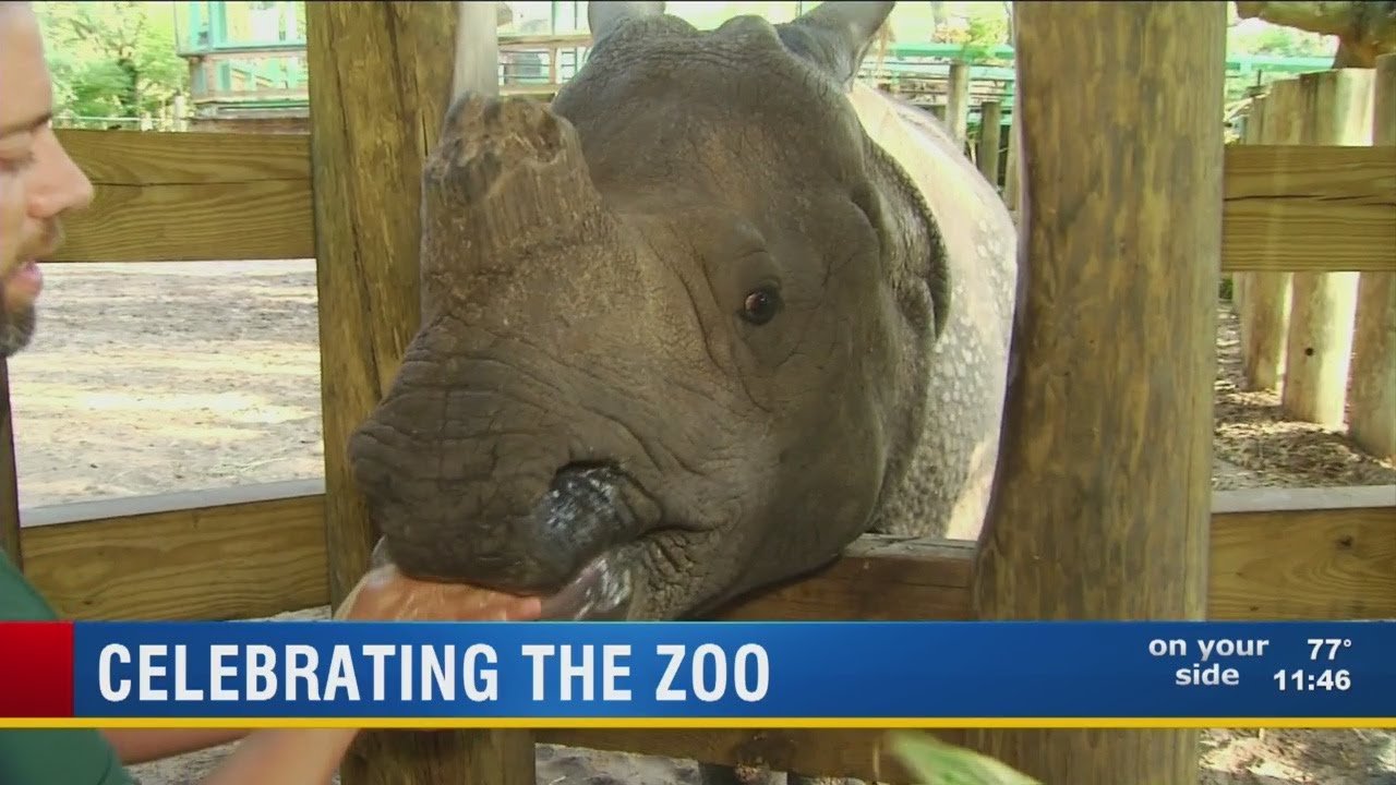 National Zoo Day - YouTube