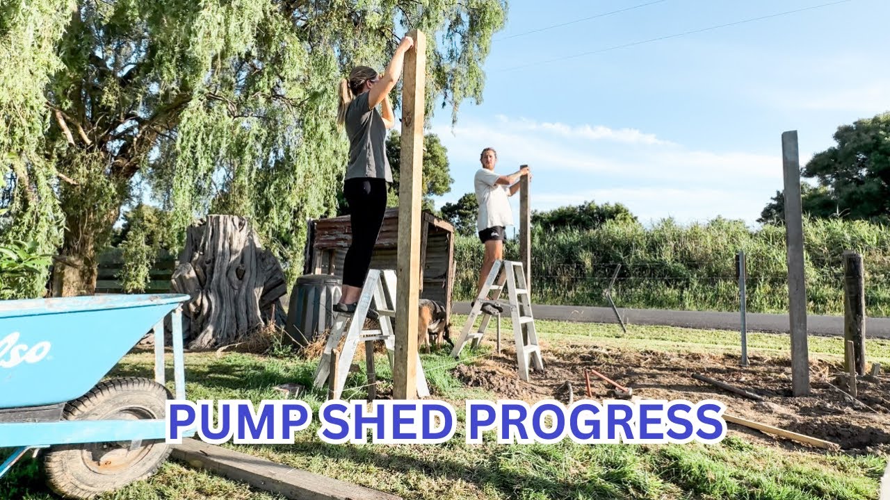 Pump Shed & Garden : Quick Progress Update! - YouTube