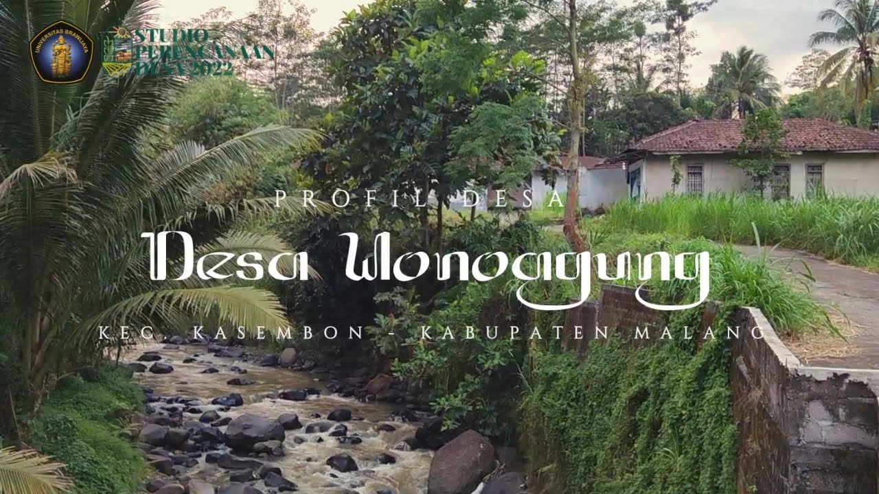 PROFIL DESA WONOAGUNG - YouTube