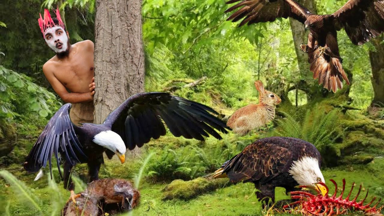 Primitive Skills - Eagle Hunting And Cooking In Forest | Bird Cooking ...