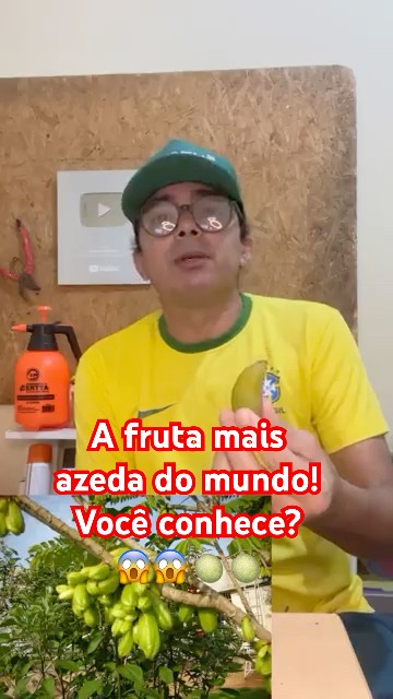A fruta mais azeda do mundo! Veja seus benefícios 😱😱🌿🪴 - YouTube