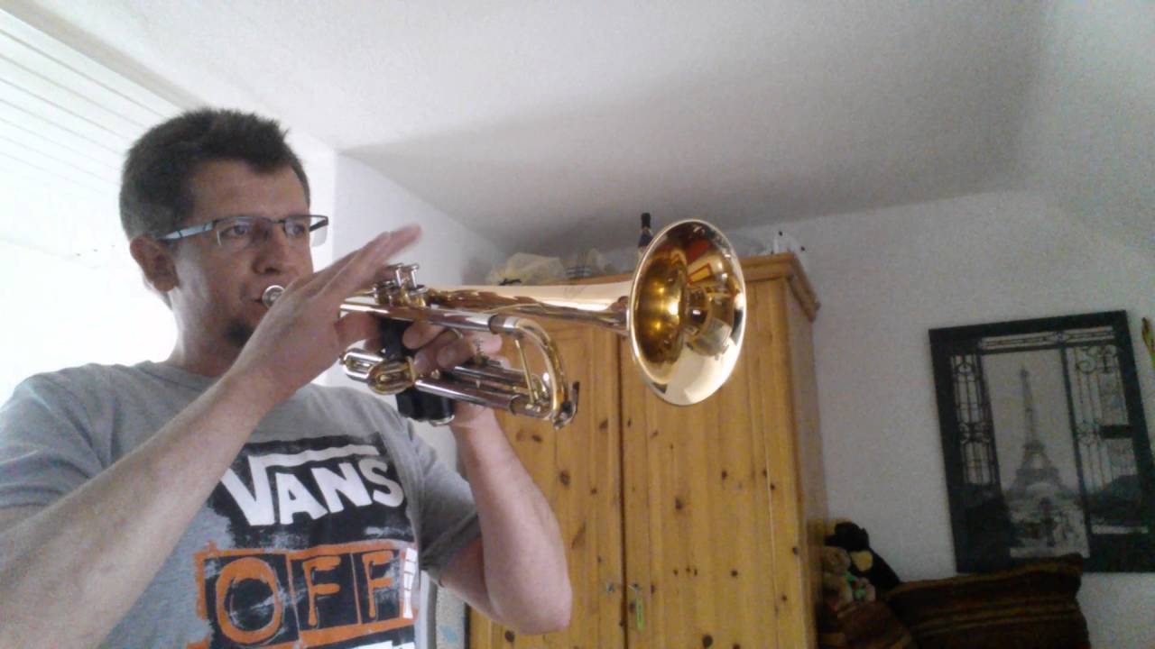 David Guetta feat. Sia Titanium Trumpet cover - YouTube