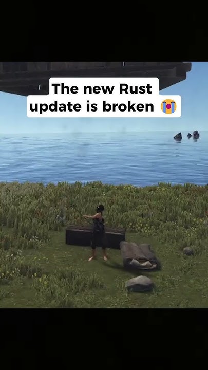 Bro was confused #rust #rustconsole #rustfunny #rustmeme #rustclips #rustgame #fyp #funny #memes ...