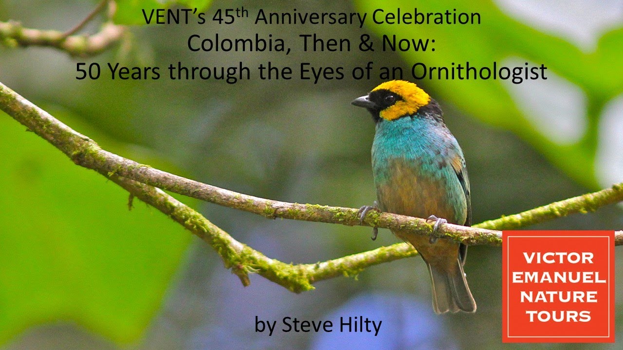 Colombia, Then and Now: 50 Years through the Eyes of an ...