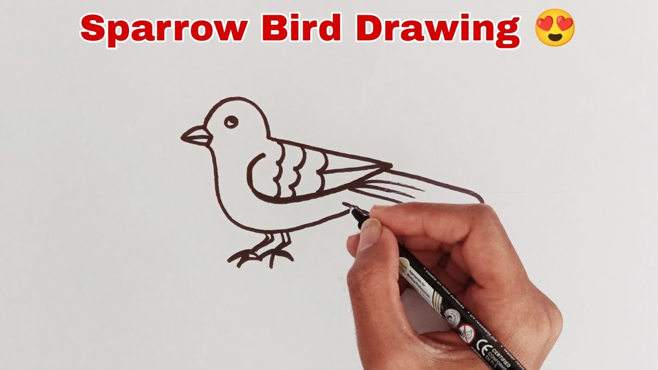 How To Draw Beautiful Sparrow Bird 🐦| गौरैया का चित्र कैसे बनाए ...