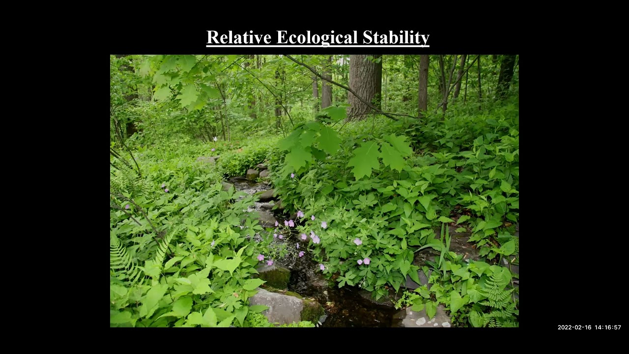 Relative Ecological Stability Excerpt (From Session 1: Foundations of ...