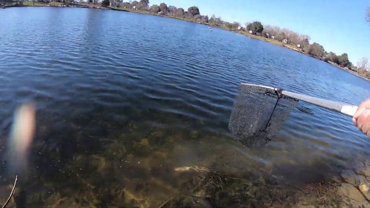 Trout Fishing at Lake Camanche South Shore Pond w/ Notorious Jigs ...